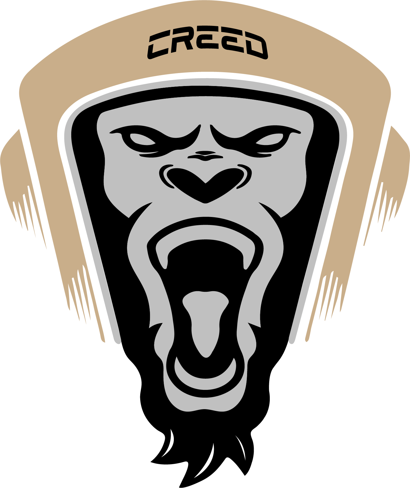 Creed - India's First Combat Fitness Movement | Boxing & MMA Training